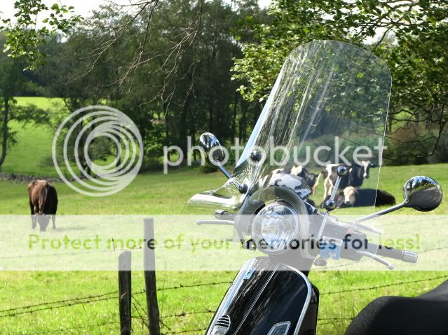 Modern Vespa : 300 gts flyscreen --choice