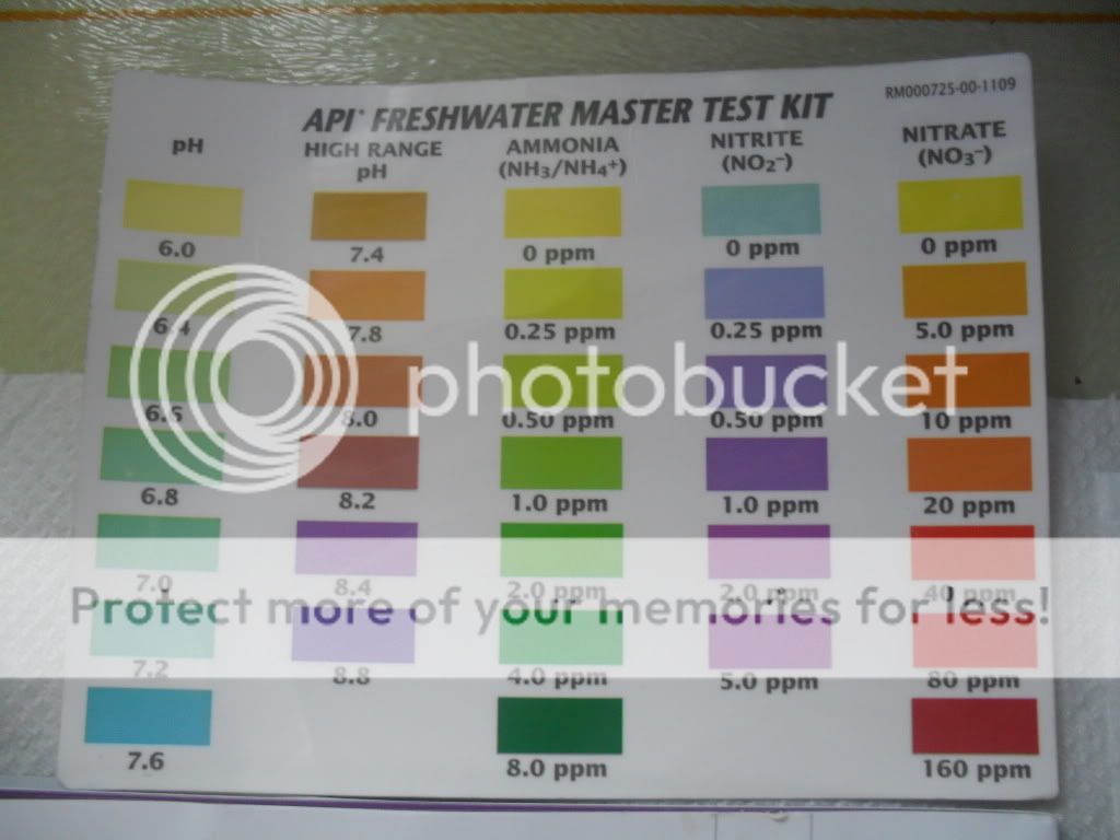 Confused About Test Readings... | Fish Forum