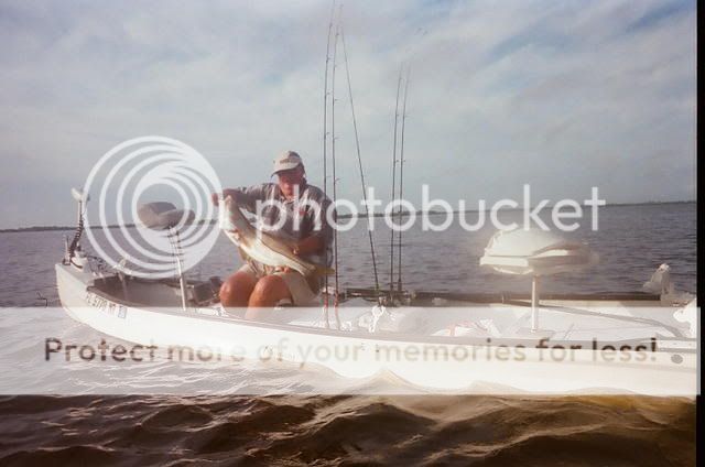 SWFL Large Mouthed Fish | Dedicated To The Smallest Of Skiffs